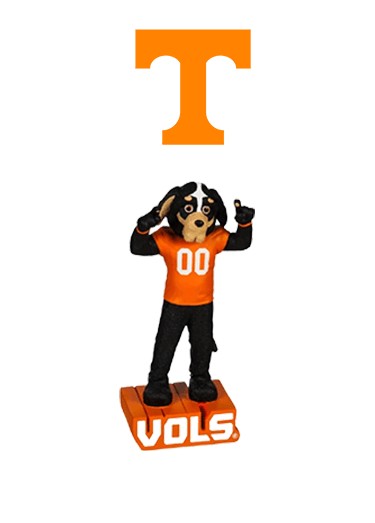 Tennessee Volunteers Color Codes - Color Codes in Hex, Rgb, Cmyk, Pantone