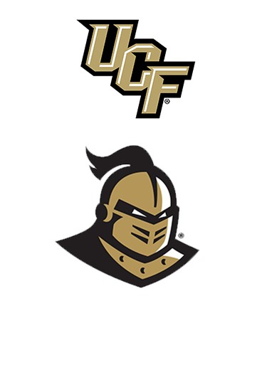 University of Central Florida Knights Color Codes - Color Codes in Hex ...